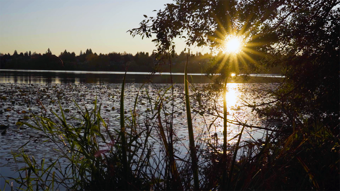 How to Capture B-Roll to Visually Tell a Story